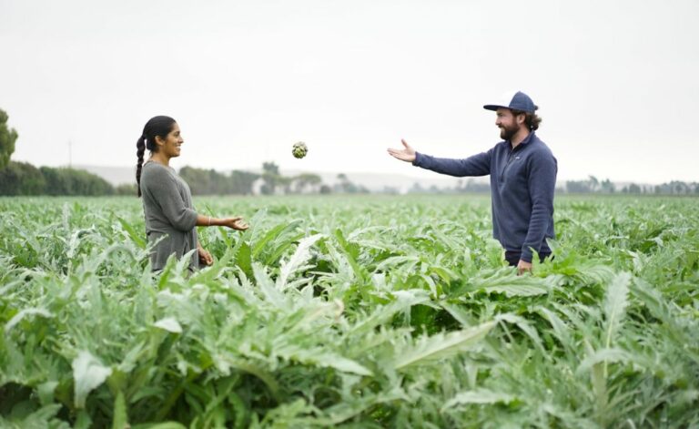 MightyMeals - Chef-Prepared Healthy Meals Delivered Fresh To You!